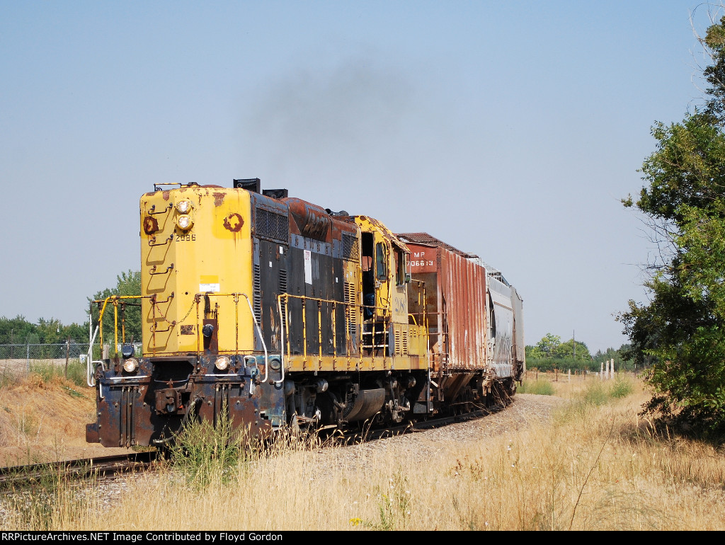 WTJR 2086 leads longhood forward
